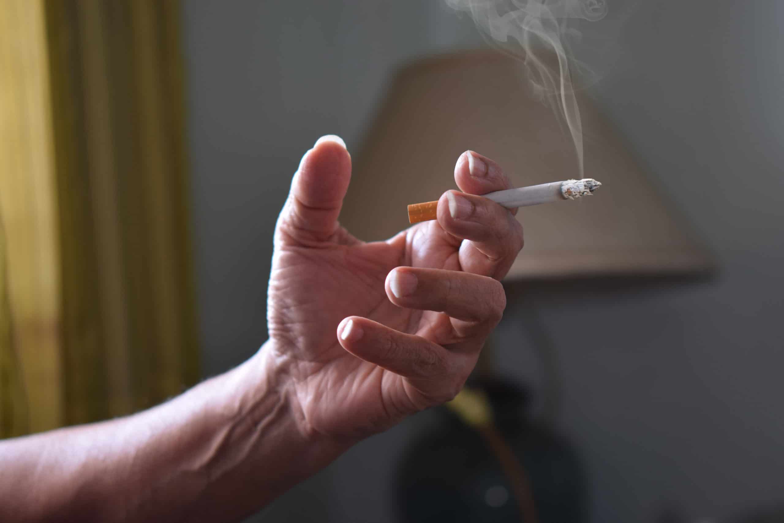 How to Get Smoke Out of a House: Effective Methods | HomeGo